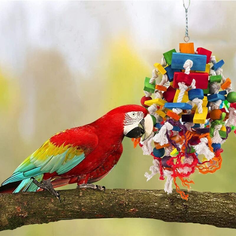 Large Bird Sturdy Parrot Chew Toy 100 Natural Multicolored for Parrot Cage and Large and Medium Sized Birds African Gray Macaw Colorful