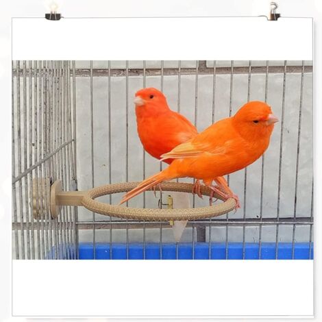 Bird Bath Tub for Birds - Pet Baths Bowl Basin Hanging Birdbath,Hanging ...