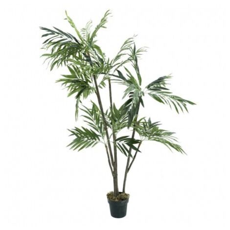 Pianta Palma H.190 Cm