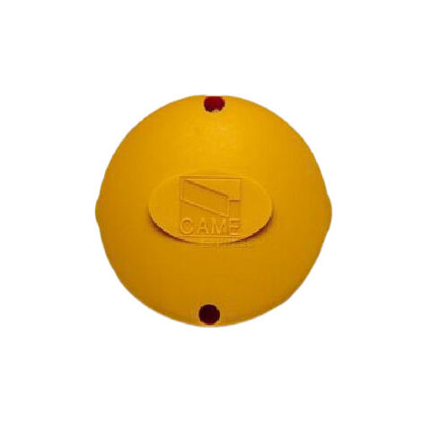 Barrière CAME 119RIG159