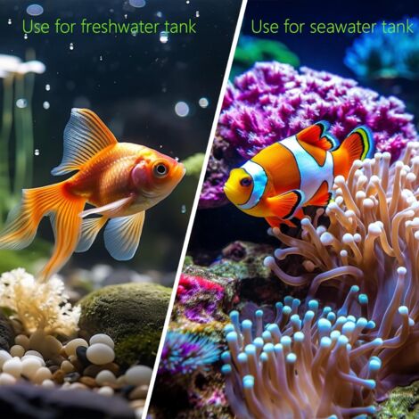 Cachette d'aquarium pour animaux de compagnie aquatiques pour se ...