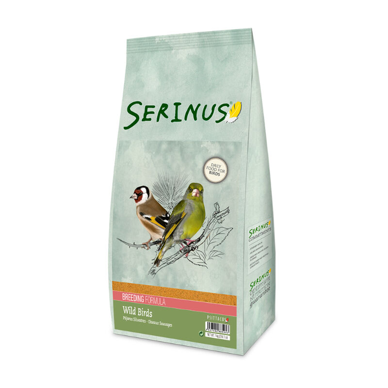 Serinus Wild Birds che riproduce 1 kg