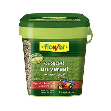 Semi di erba universale di fiori, cubo 2 kg