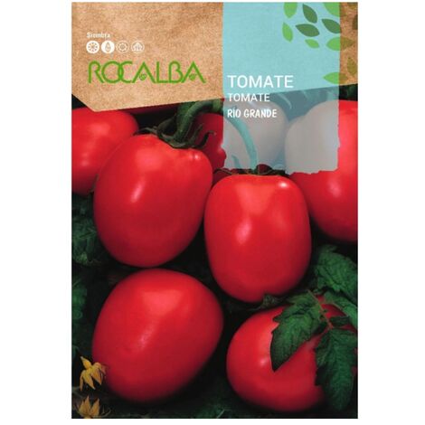 Rocalba Seed Tomato Rio Grande 500G