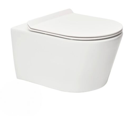 Swiss Aqua Technologies Pack WC con Bastidor Roca Duplo One + Inodoro ...