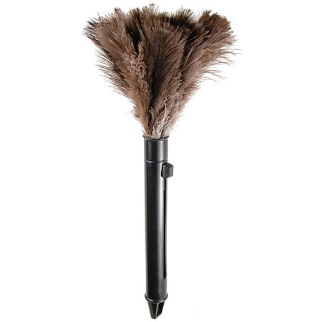 Plumeaux Marron Lavable Portable Compact Plumes de Poulet ABS Mini ...