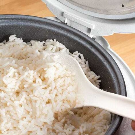 Judge Family Rice Cooker 1.8 Litre