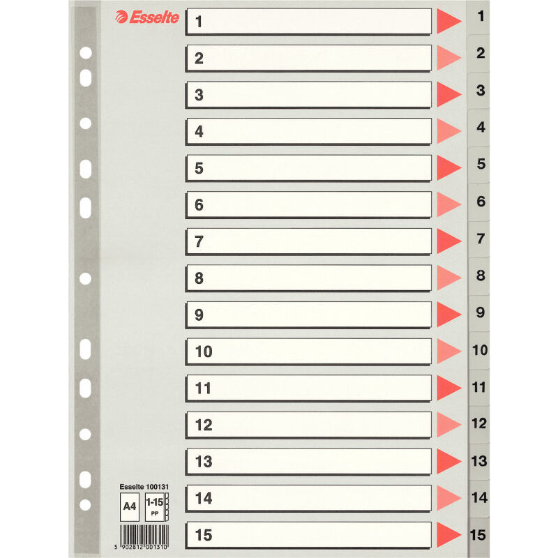 Esselte Leitz Register PP A4 1-15 Grey (100131)