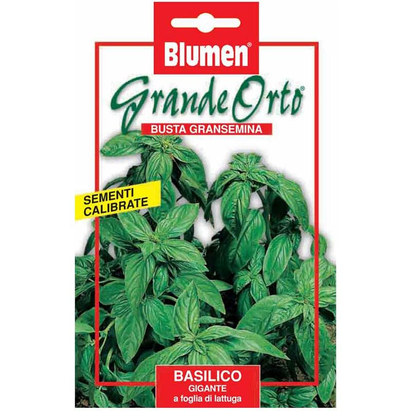 GRAINES DE BASILIC GÉANT MAXI JARDIN BLUMEN