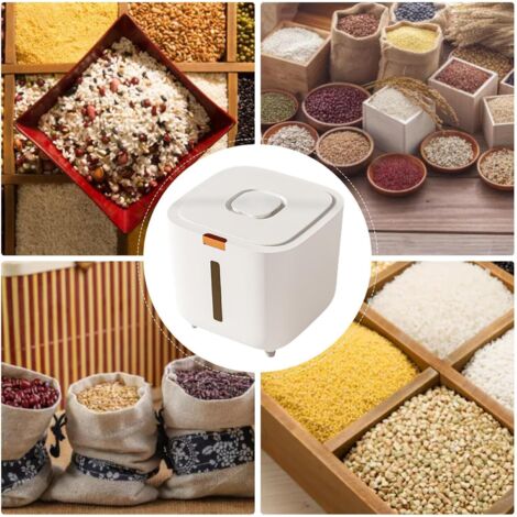 Contenitore per riso e cereali, contenitore per riso, contenitore per ...
