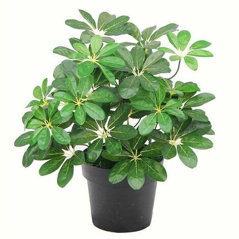 55cm Dark Green Artificial Schefflera Arboricola Plant