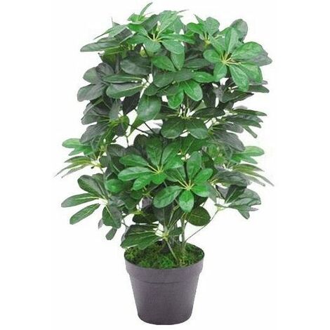 55cm Dark Green Artificial Schefflera Arboricola Plant