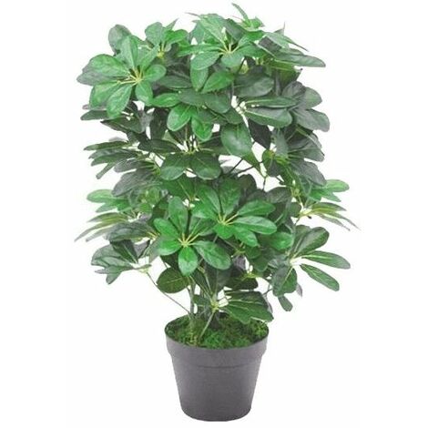 55cm Dark Green Artificial Schefflera Arboricola Plant