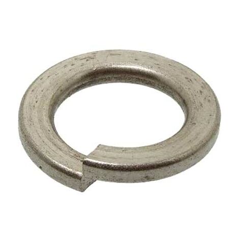 RONDELLA GROWER M 8 pz. 20