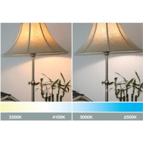 Ampoule LED GU4 / MR11 4W 12V (Pack de 10) - Blanc Chaud 2300K - 3500K ...