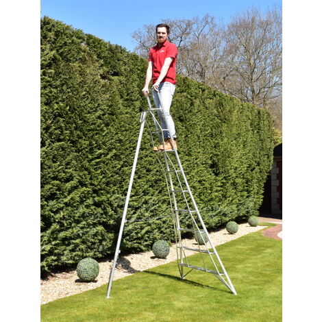 BPS 1 Leg Trade Master Tripod Ladder, Size 3.0m