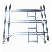 Double Width 3 Rung (1.5m) Ladder and Span Frame