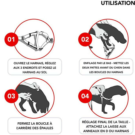 Rouge M,Harnais Chien Step-in Nylon, Réglable Nombreuses Couleurs ...