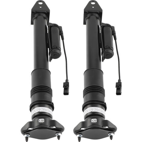 2X Trasera Suspensión neumática Strut Shock for Mercedes R500 R350 W251 ...