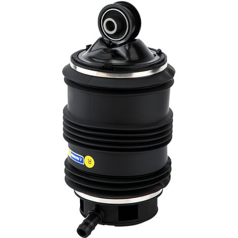 Suspensión Neumática Trasero Derecha Detrás Derecho Bolsa Resorte De ...