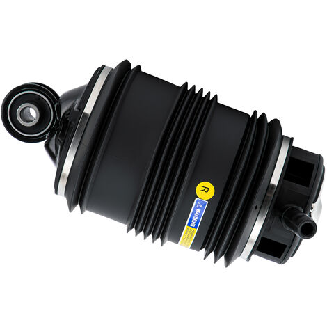 Suspensión Neumática Trasero Derecha Detrás Derecho Bolsa Resorte De ...