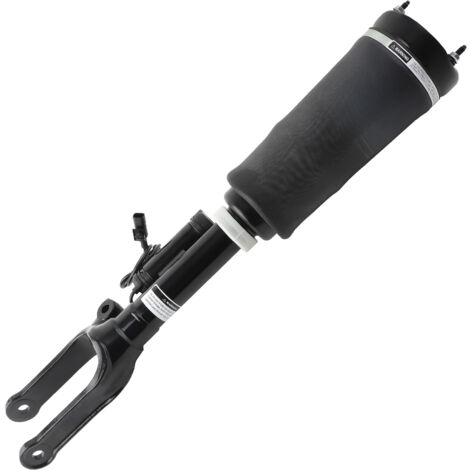 Front Air Spring Shock Air Suspension for Mercedes R Classe W251 ...