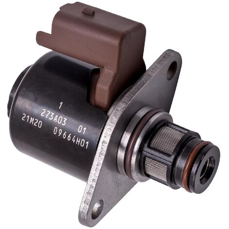 Druckregelventil für Dacia Logan Renault Clio 2 3 Kangoo Modus Scenic 2 ...