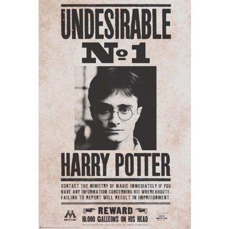 Poster Harry Potter Undesirable nr. I 61x91.5cm.