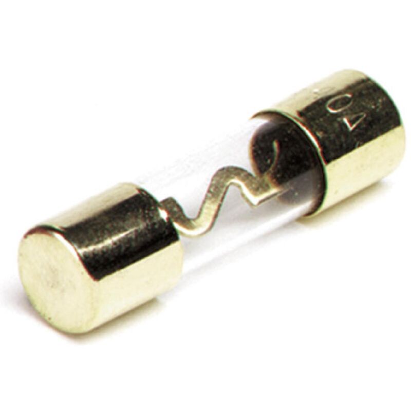 Fusible en verre - AGU 38mm - 40A x2