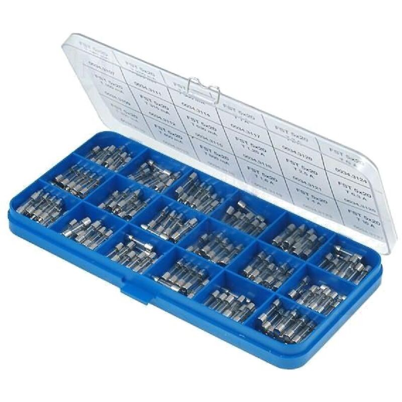 Kit 195 fusibles en verre 5x20mm