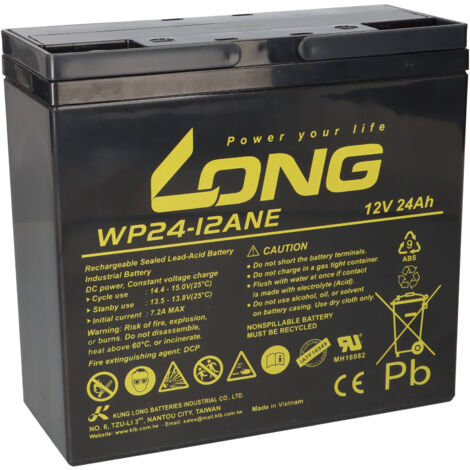 Kung Long WP24-12ANE 12V 24Ah AGM Bleibatterie