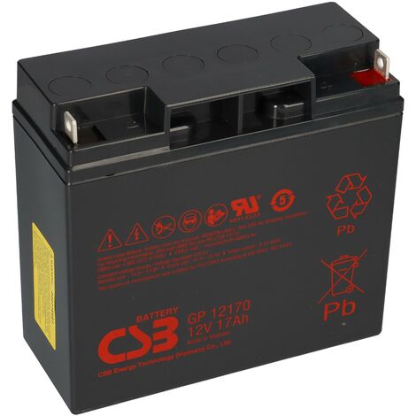 CSB AGM Bleiakku GP12170 12V 17Ah - M5 Flachpol - M5 B/N
