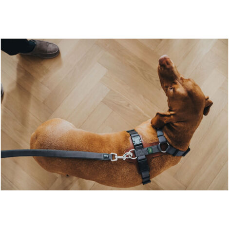 Correa para Perro Hunter DIVO & MALDON 2 x 100 cm Gris