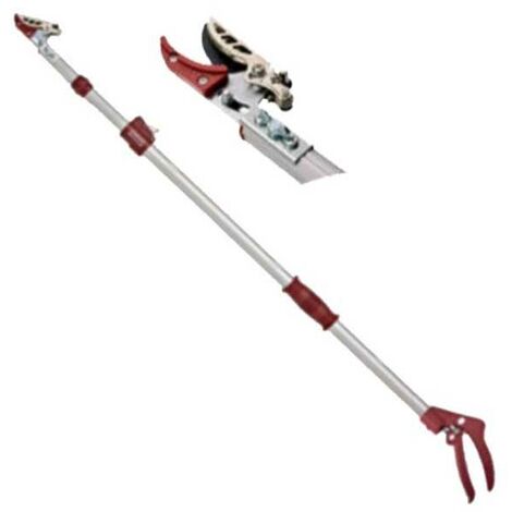 Perche élagueuse télescopique 207 107 Archman