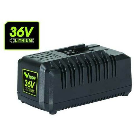 Vigor Lithium Série Vx Chargeur Vx 36 Volt