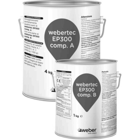 Webertec ep300 (a+b) kg. 5