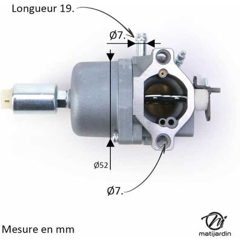 Carburateur pour moteur Briggs & Stratton 794572