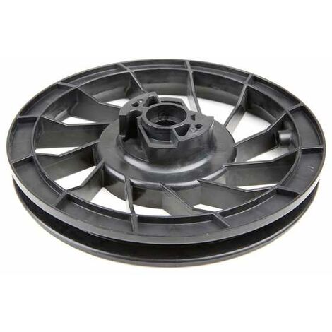 Poulie de lanceur pour moteur Briggs & Stratton 290400, 290700, 294700 ...