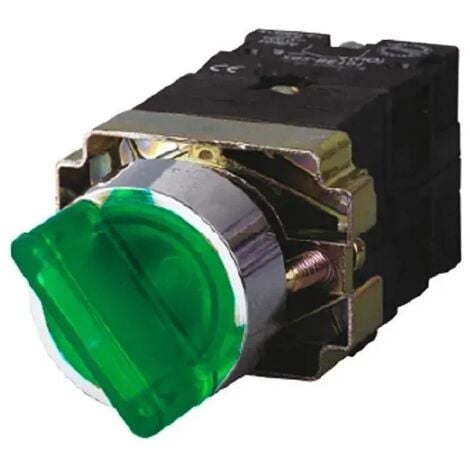 Selector plástico luminoso verde 2 posiciones 12 400V 1NA+1NC