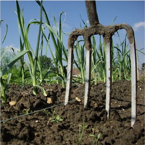 Dekton Garden Metal Gardening Border Fork Plant Weeds Stone Tool ...