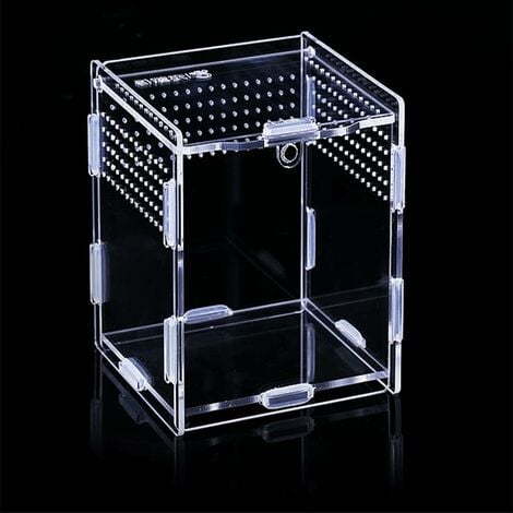 Insect Feeding Box, Transparent Acrylic Breeding Case, Acrylic Reptiles ...