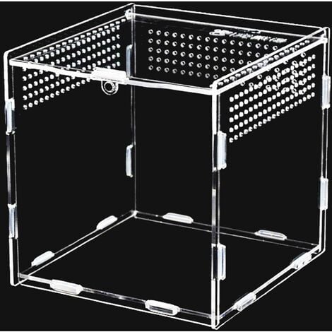 Acrylic Terrarium, 360° Clear Acrylic Container for Spider, Scorpion ...
