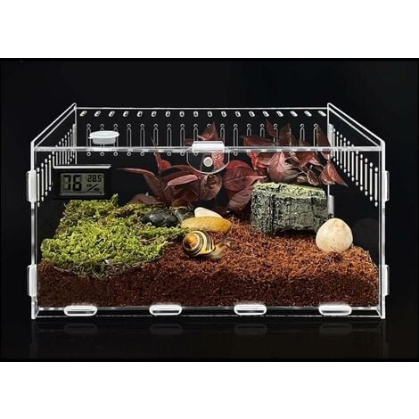 Insect Feeding Box,Reptile Habitat Transparent Breeding Box Breeding ...