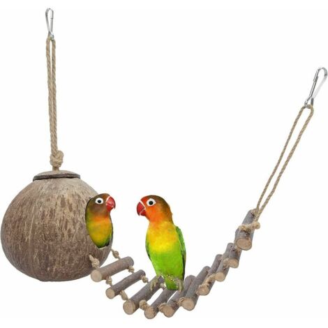 Natural Coconut Shell Hamster Hideout Birds and Critters Toy (House ...