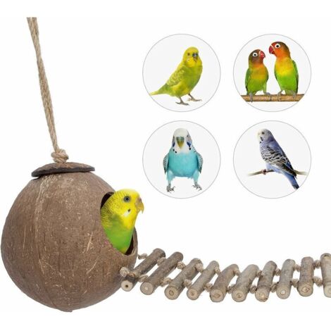 Natural Coconut Shell Hamster Hideout Birds and Critters Toy (House ...