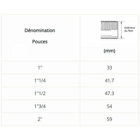 Embout Fileté 63mm à coller vers filetage à visser 2 PVC Pression