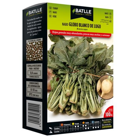 Semillas de Nabo Globo Blanco Grelos de Lugo 100 gramos