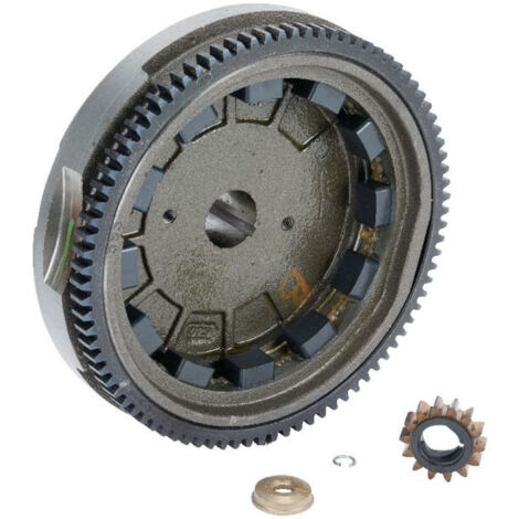 Volant d'inertie Briggs et Stratton - 591761
