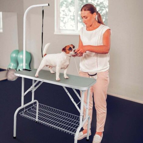 Table de Toilettage Chiens Chats Pliable Professionnelle Terrier - Gris