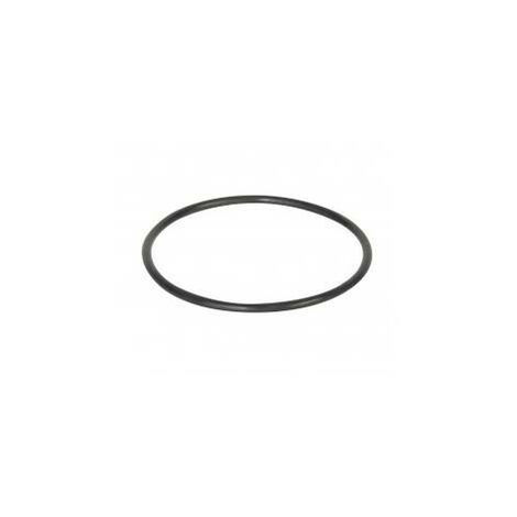 BESTWAY - P6119 - Guarnizione del coperchio del filtro a cartuccia
